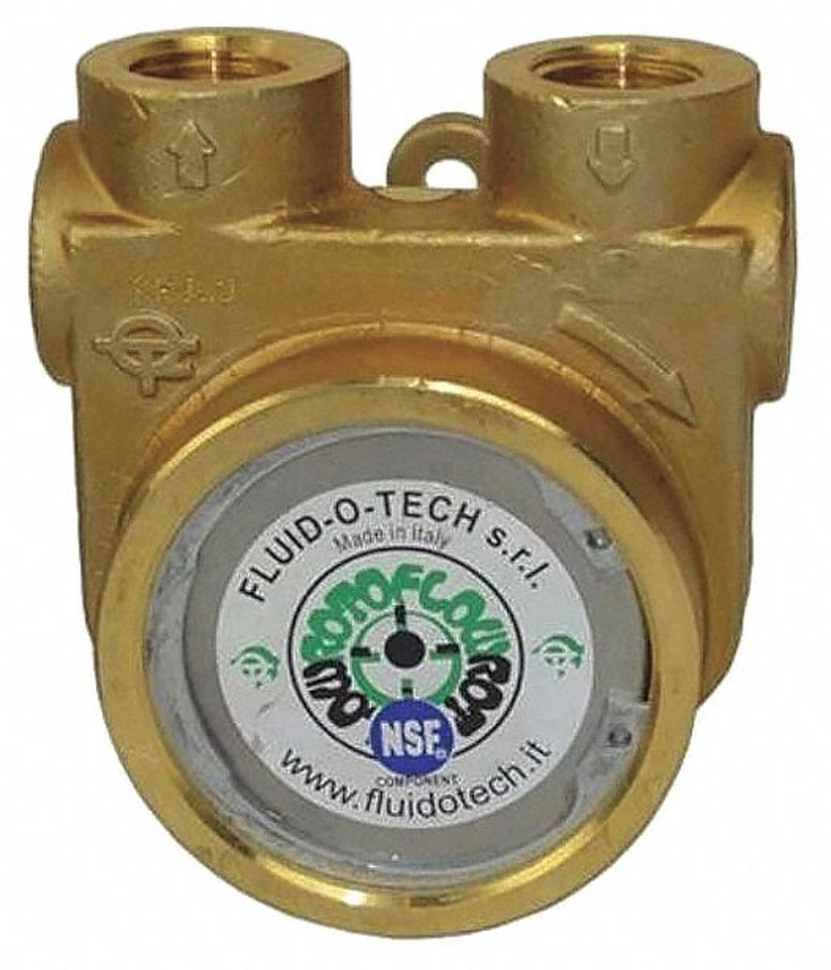 Fluid-O-Tech - PB0101ANCNN0000 - FLUID-O-TECH Rotary Vane Pump: Brass ...