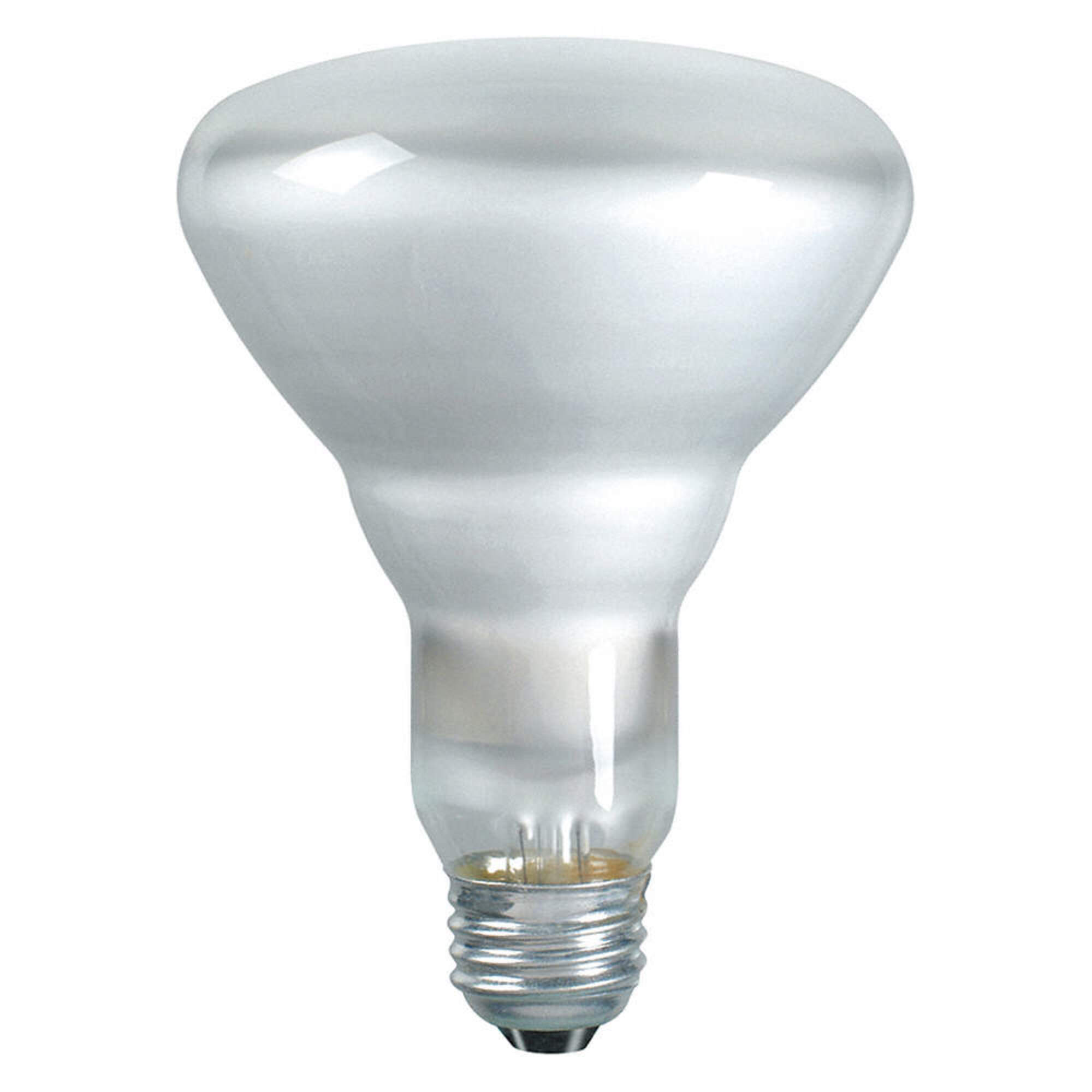 Philips - 65BR30/FL55 12/1 - Incandescent Bulb, BR30, Medium Screw (E26 ...