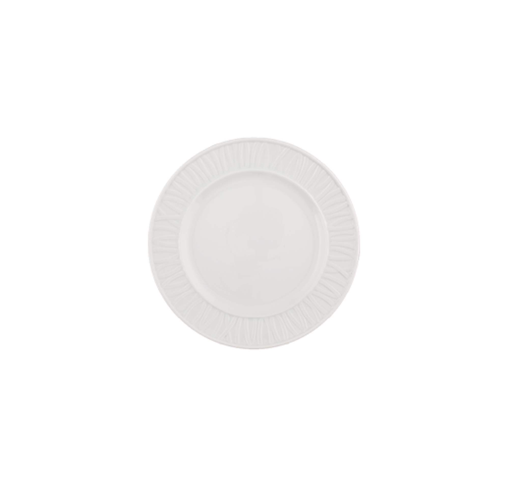 Vertex China - GV-6 - Vertex China GV-6 Plate