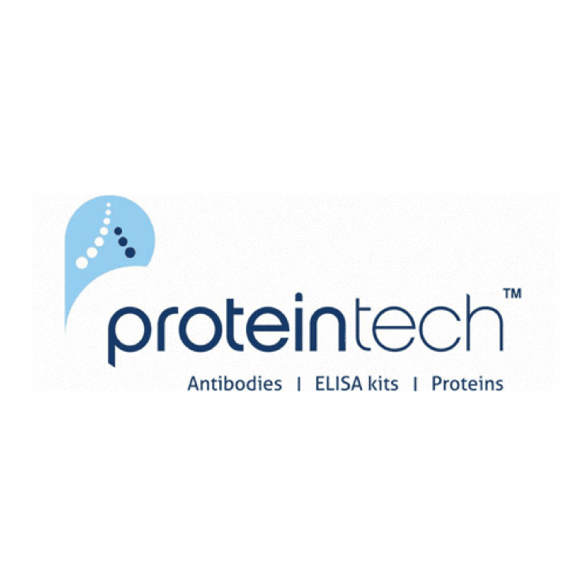 Proteintech - 66018-1-IG-150UL - ANTI-TST(MONOCLONAL) 66018-1-IG (Each ...