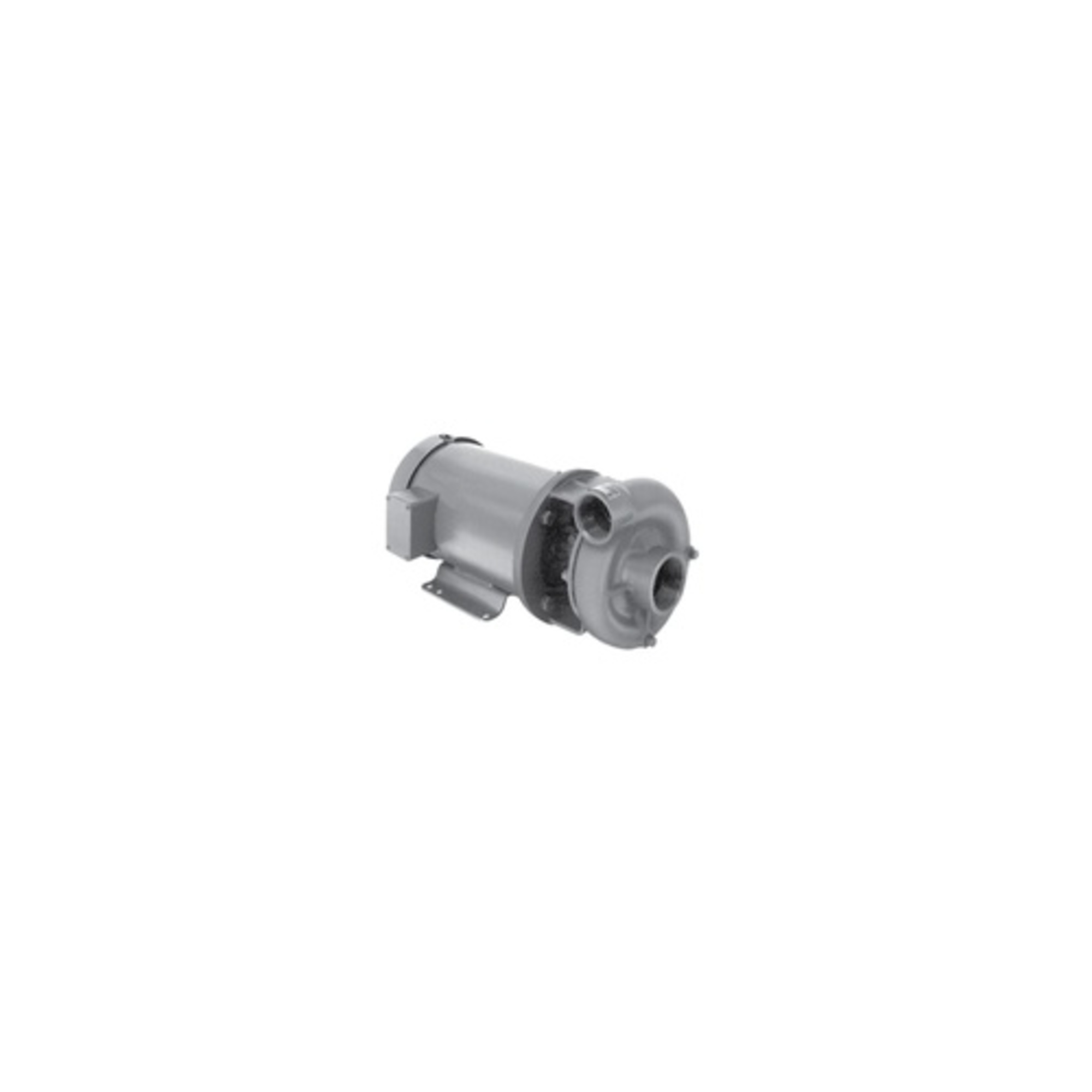 MP Pumps - 26622 - MP Pumps 26622, Series 120 Standard End Suction ...