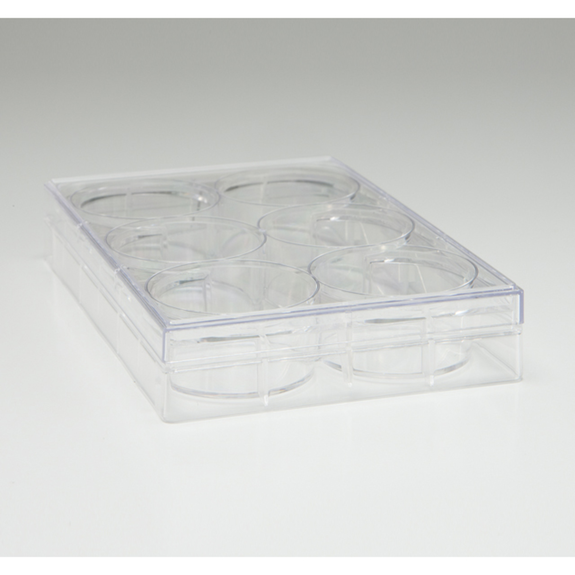 Other - TR5000 - 6 Well Cell Culture Plate, ( Case of 50 ) | Multiwell ...