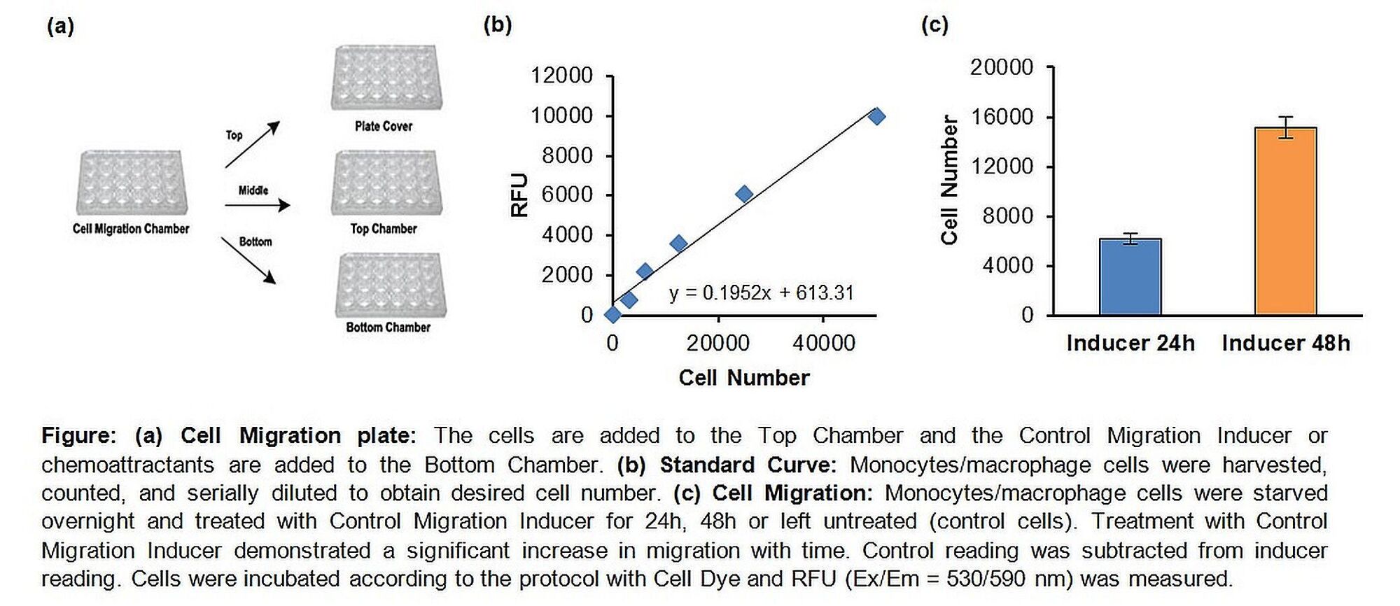 BioVision - AB235696-12TEST - KIT CELL MIGRATION EZCELL 5 UM 12 ASSAYS ...