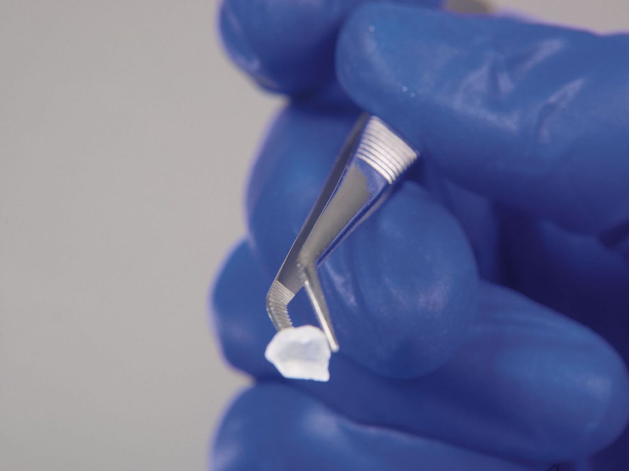 Burkle - 5386-0100 - Forceps, SS, sharp, bent form, 105mm